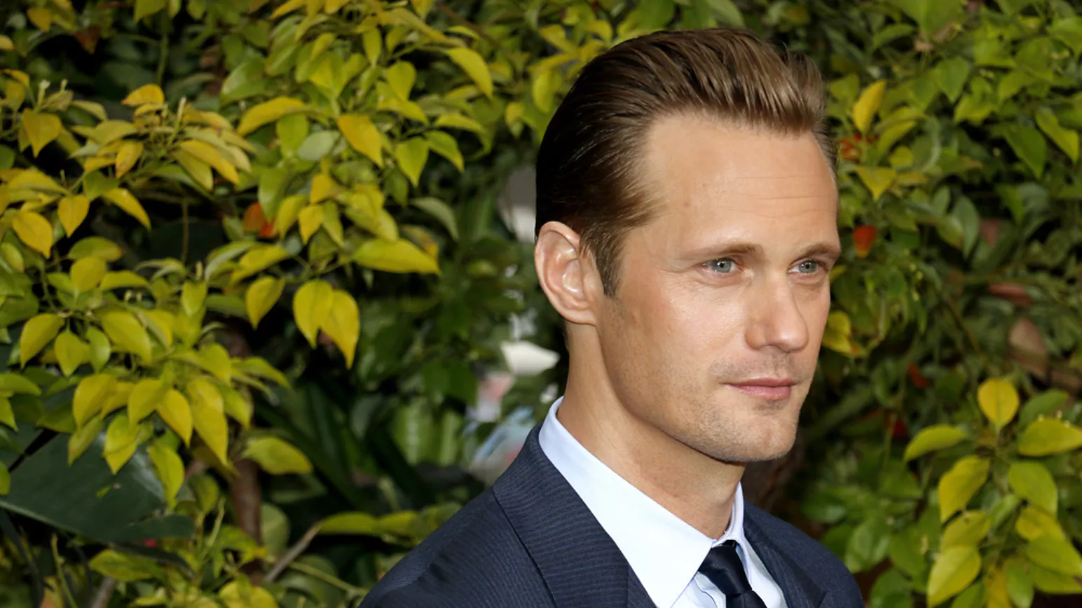 8 Moments That Defined Skarsgård’s Queer Legacy | Wellbeing Whisper