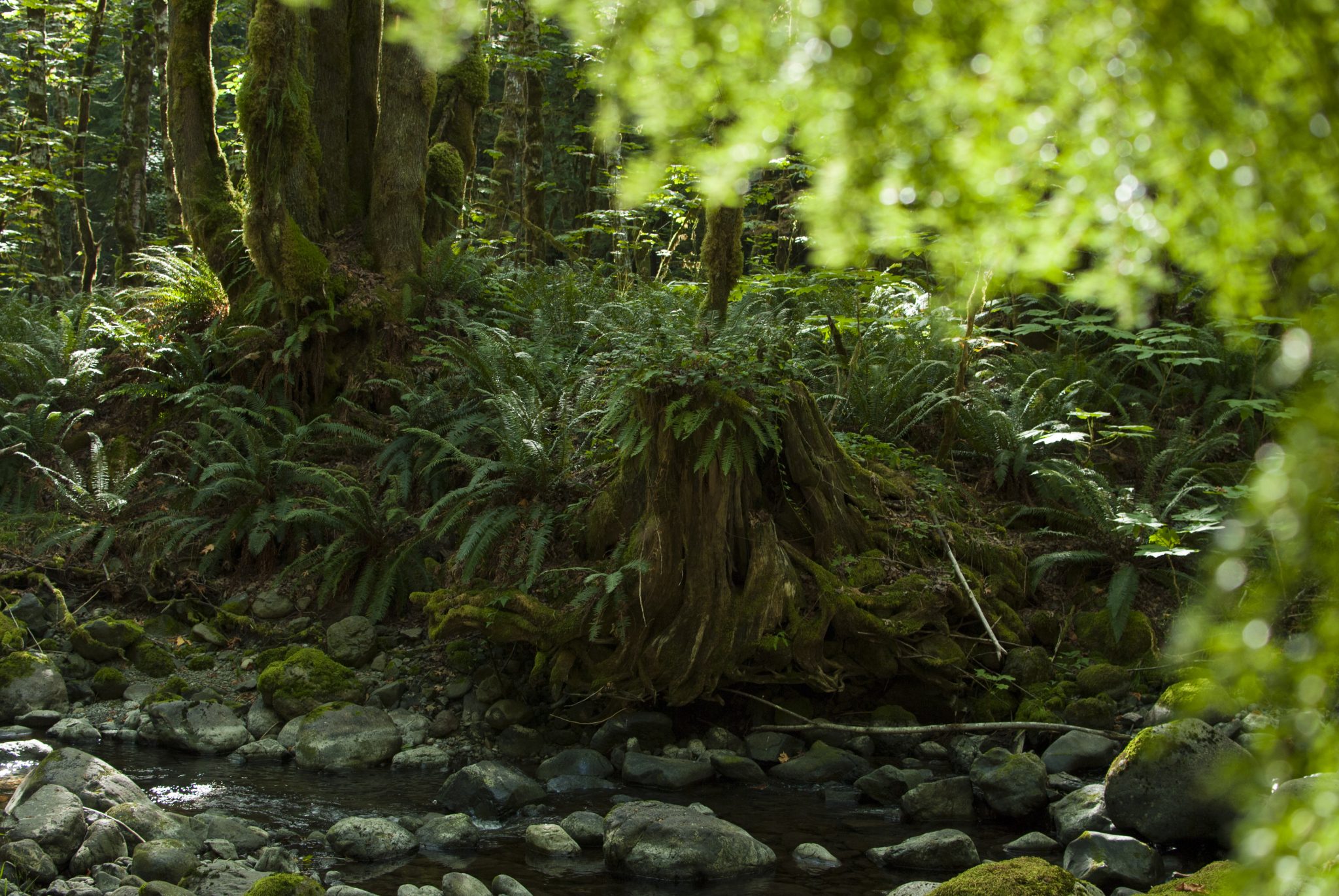 7 US regions that stay livable when systems fail | Wellbeing Whisper